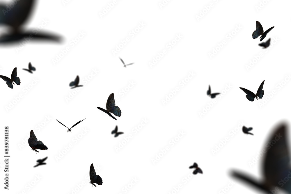 Realistic Color Butterfly Insect Flying Magical Wonderland Special ...