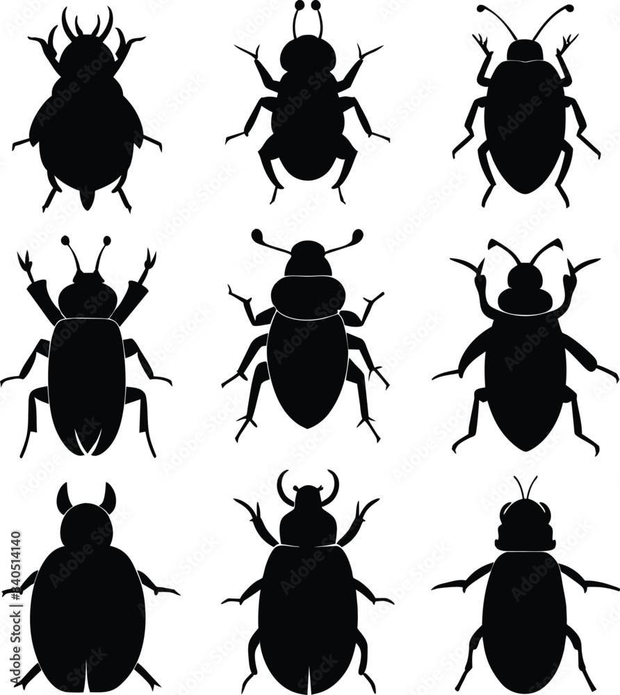 Image vectorielle Stock Ambrosia Beetle cute animal in colorful cartoon ...