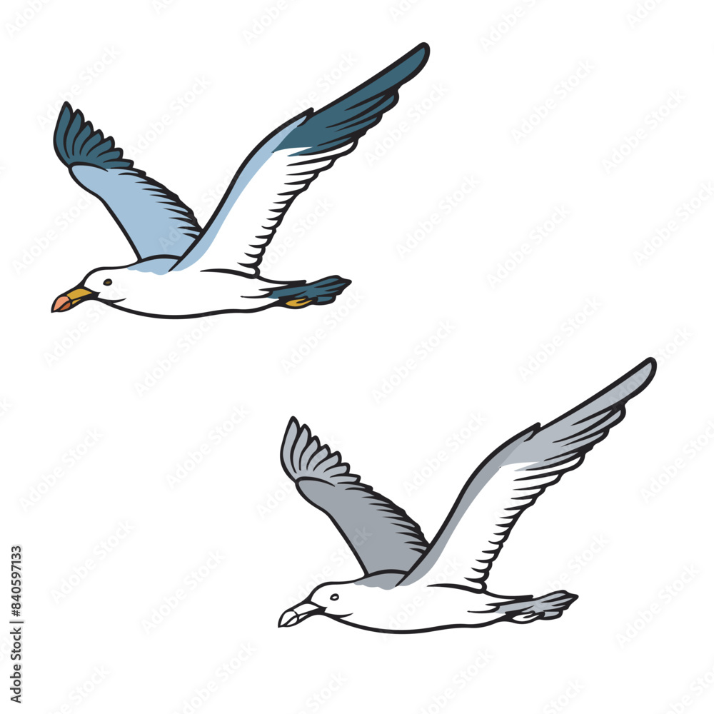 seagull drawing with line art style. simple design outline style. you ...