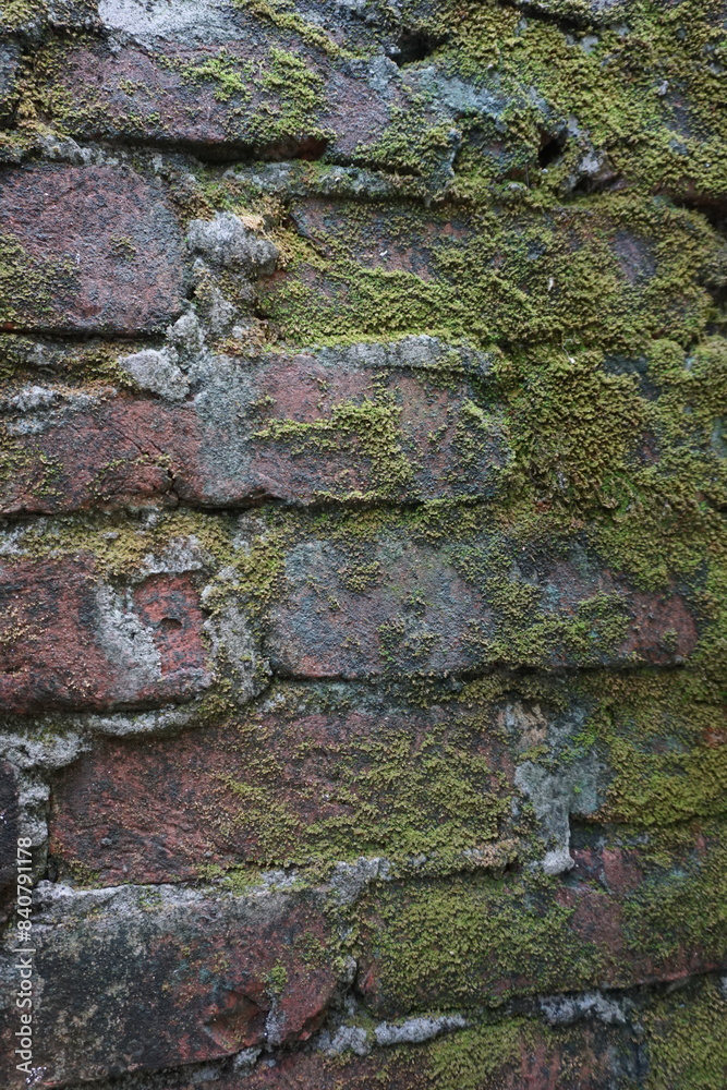 Abandoned mossy brick layered wall background, Grungy brick wall ...