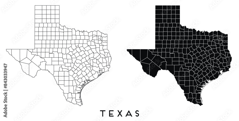 Texas state map of regions districts vector black on white and outline ...