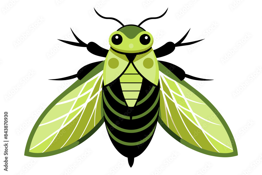 Cicada vector artwork and illustration svg file Stock Vector | Adobe Stock