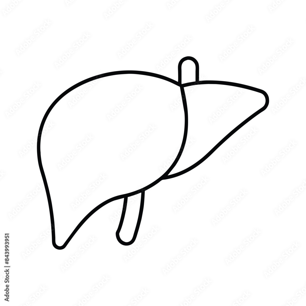 Simple Line Art of a Liver with Bile Duct Anatomy in Vector Format ...