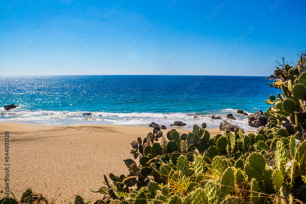 Puerto Escondido Oaxaca beach with nopales in the foreground and a ...