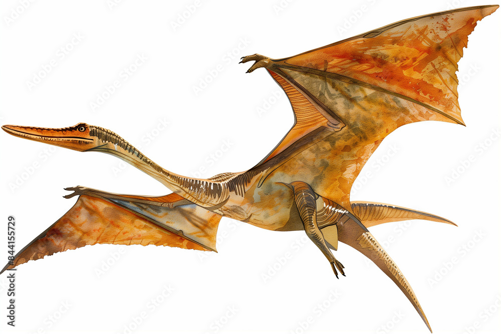 Stunning Illustration of a Pteranodon in Flight, Showcasing Detailed ...