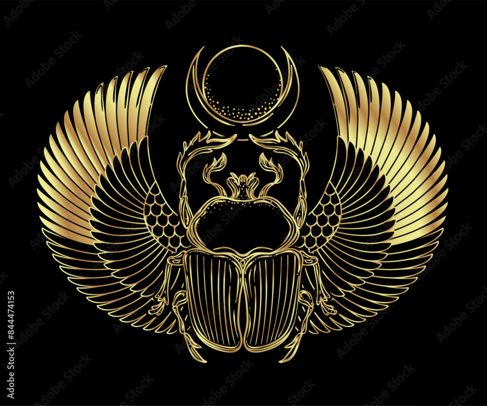 Scarabaeus sacer, Dung beetle. Sacred symbol of in ancient Egypt ...