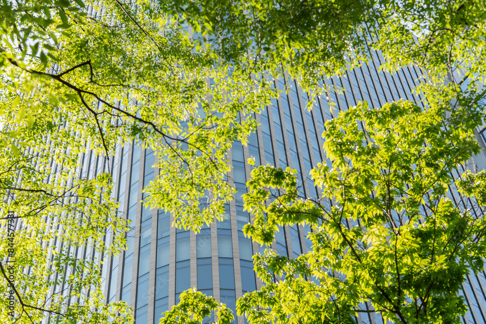 Sustainable green buildings. environmentally friendly buildings Green ...