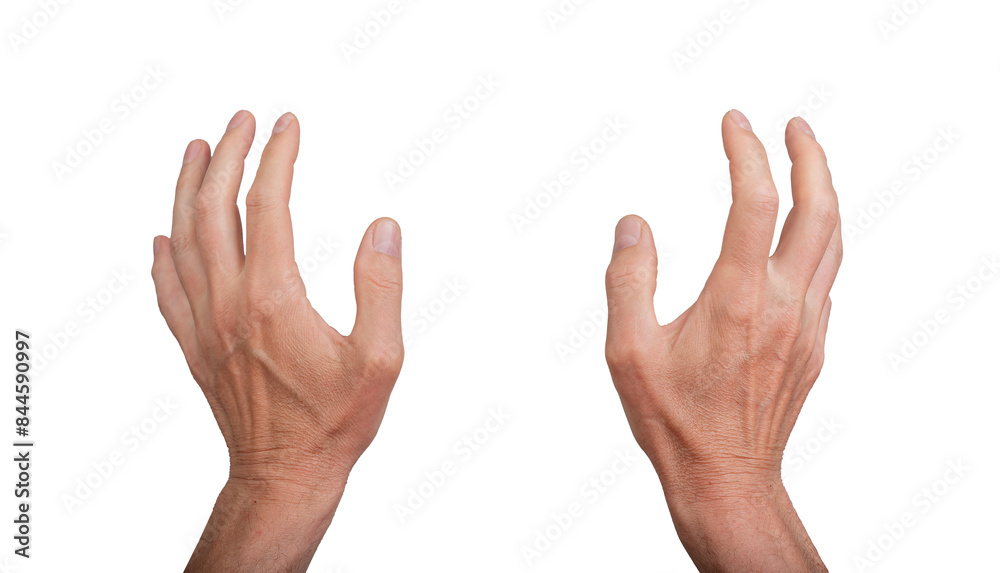 Two hands grasping, isolated on white background. Gesture indicating ...