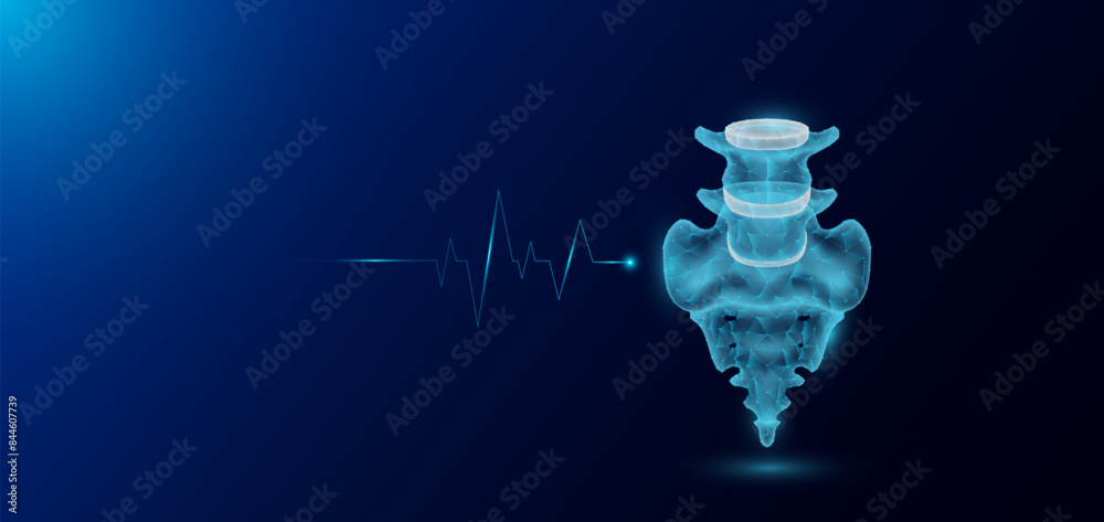 Sacrum bone human organ skeleton anatomy in form style polygon low poly ...