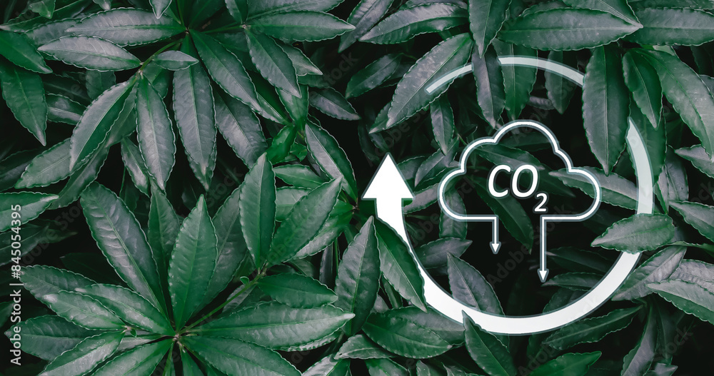 The carbon neutral concept reduces CO2 emissions, reducing global ...