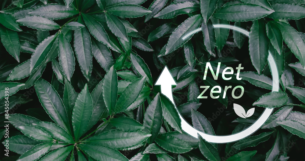 Net zero by 2050, carbon neutral, greenhouse gas emissions reduction ...