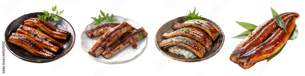 Anago clipart collection, symbol, logos, icons isolated on transparent ...