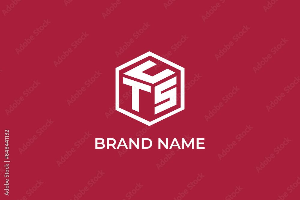 letter CST or TSC or TCS iconic modern logo with hexagon, letter CS ...