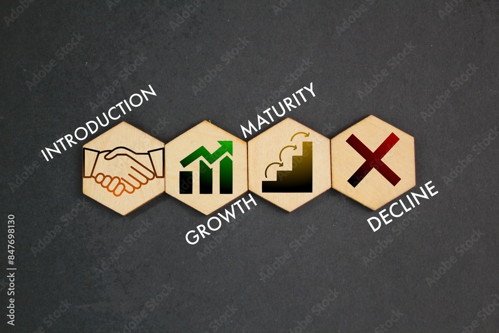 hexagon with icons and the words introduction, growth, maturity, and ...