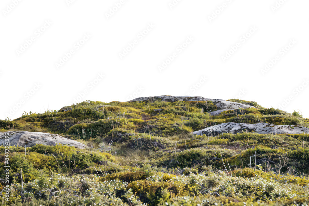 Tundra Isolated On Transparent Background, Tundra With Snow, Snowy ...