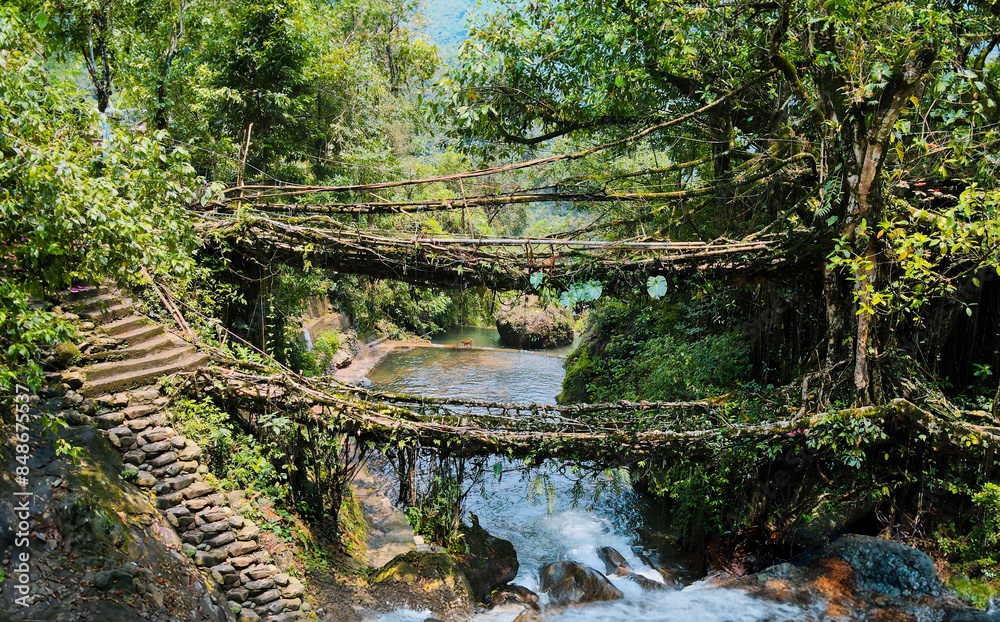 Natural Double Decker Living Root Bridge in Nongriat Village, Meghalaya ...