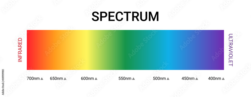 Visible spectrum color wavelength uv gamma vector illustration. Visible ...