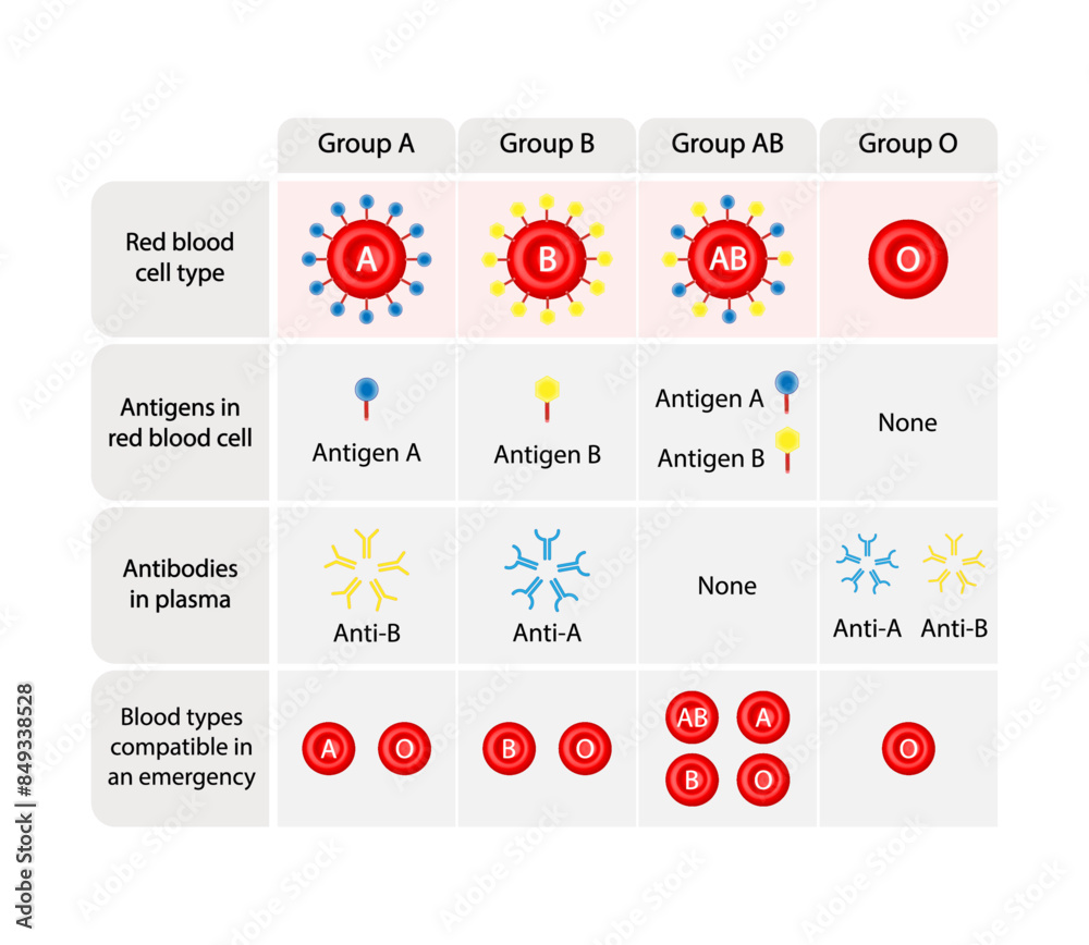 Abo Blood Group Concept Design. Blood donation, ABO Blood groups. four ...