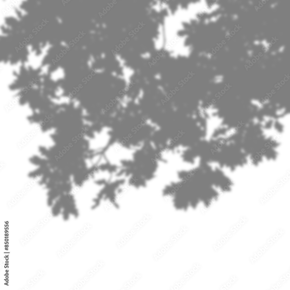 Ilustración de Stock Tree branch shadow overlay with transparent ... Ilustración de Stock Tree branch shadow overlay with transparent ...