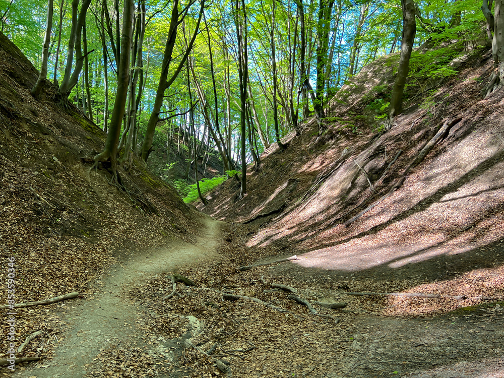 Lisi Jar (fox ravine) – a ravine and part of the village of Jastrzebia ...