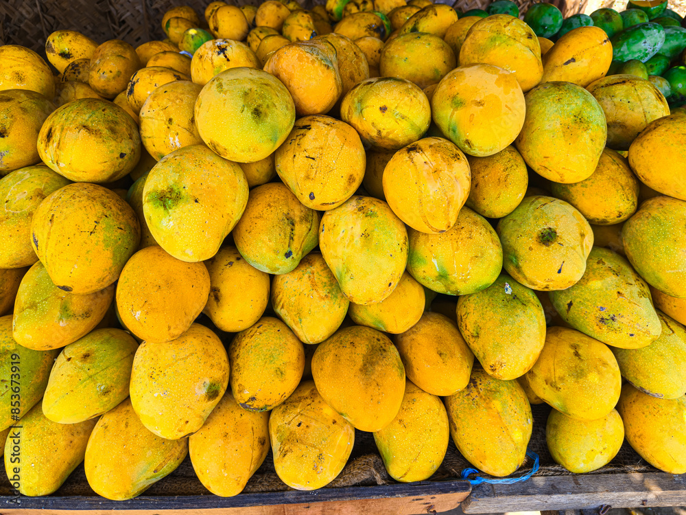 Banginapalli, Neelum mango, Alphanso, Mulgoa, Ratnagiri mango, Malda ...