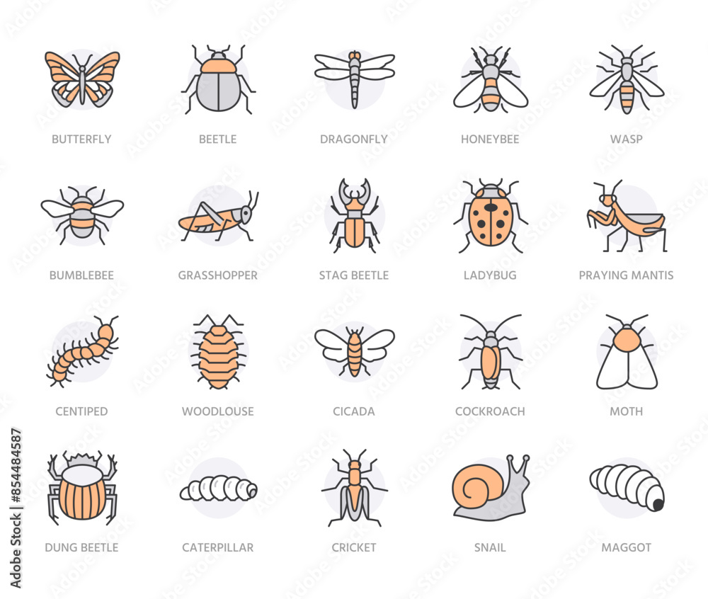 Insect flat line icons set. Butterfly, bug, dung beetle, grasshopper ...