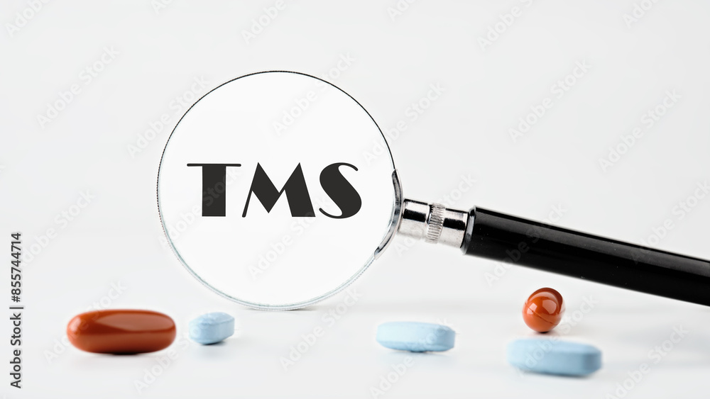 TMS transportation management system. Planning and coordination of ...