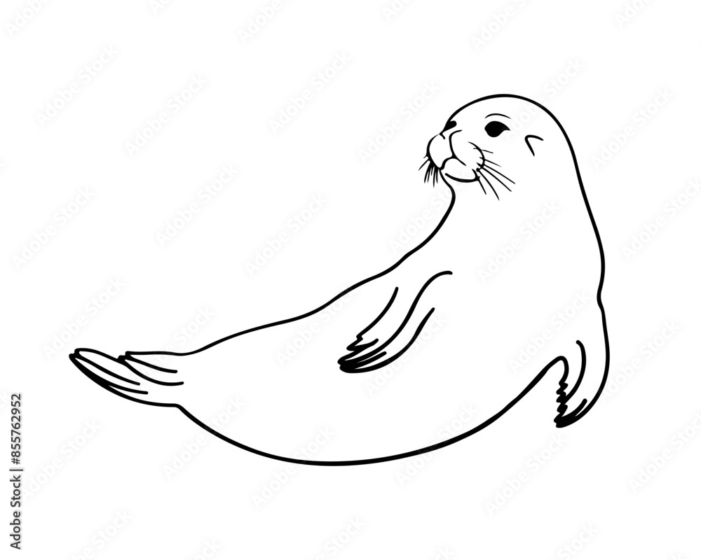 Black silhouette cute seal cartoon animal design flat vector ...