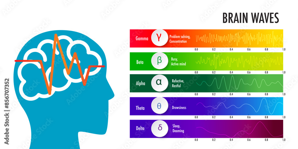 measures brain waves of different frequencies within the brain ...