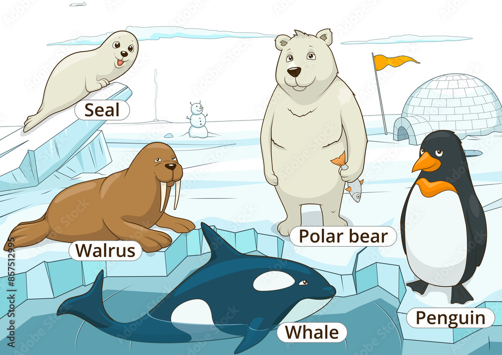 Arctic animals educational game for kids PNG illustration, educational ...