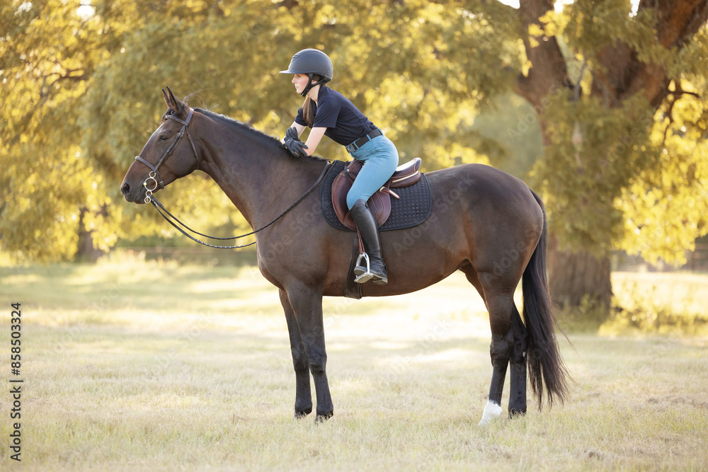 Young equestrian girl woman with horse equine in english tack and ...