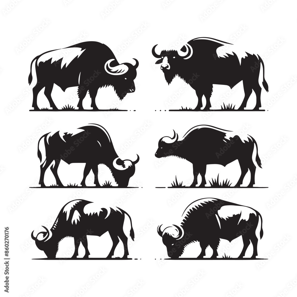 Unique Buffalo silhouette in clean design - Buffalo black vector Stock ...