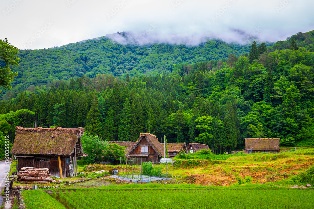 Traditional and Historical Japanese village Shirakawago in Gifu ...