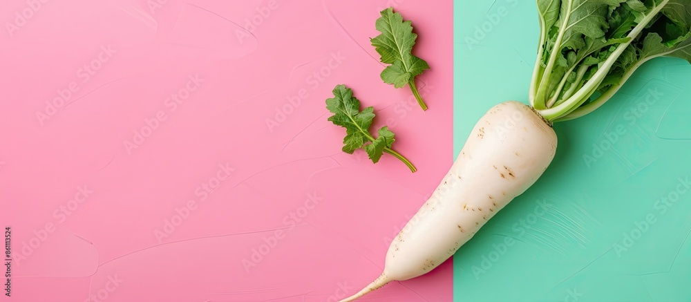white radish Isolated on pastel background Radish Daikon. Copy space ...