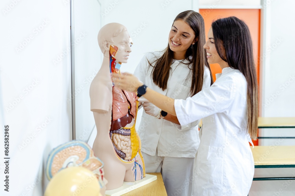 Two young medical students in white coats are closely examining a human ...