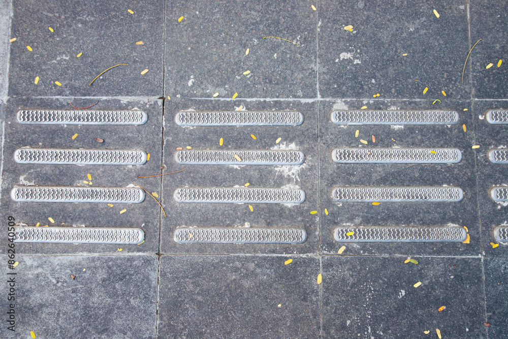 Guide path for the visually impaired so they can walk on the pedestrian ...