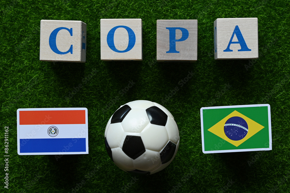 Flags of the participating teams of the America's Cup Soccer Group D ...