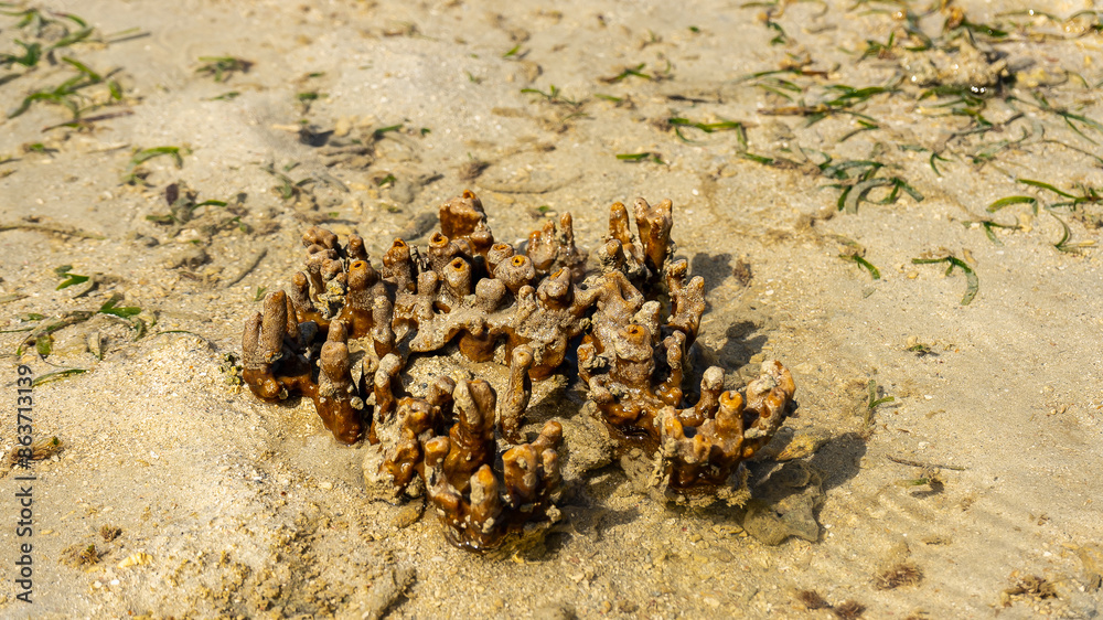 Junglighat, located in Port Blair, the main city of the Andaman Islands ...