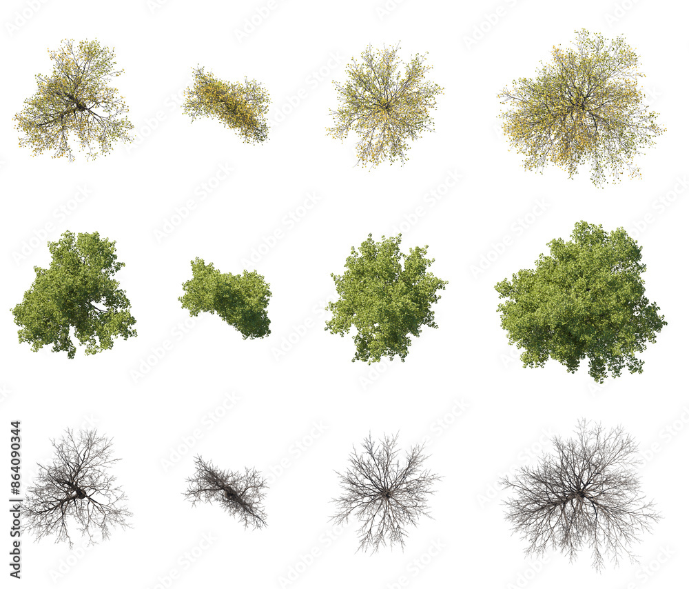 Top view evergreen and autumn and dried trees cutout 3d render png set ...