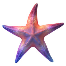 Mystical Ocean Life Free Stock Photo - Public Domain Pictures