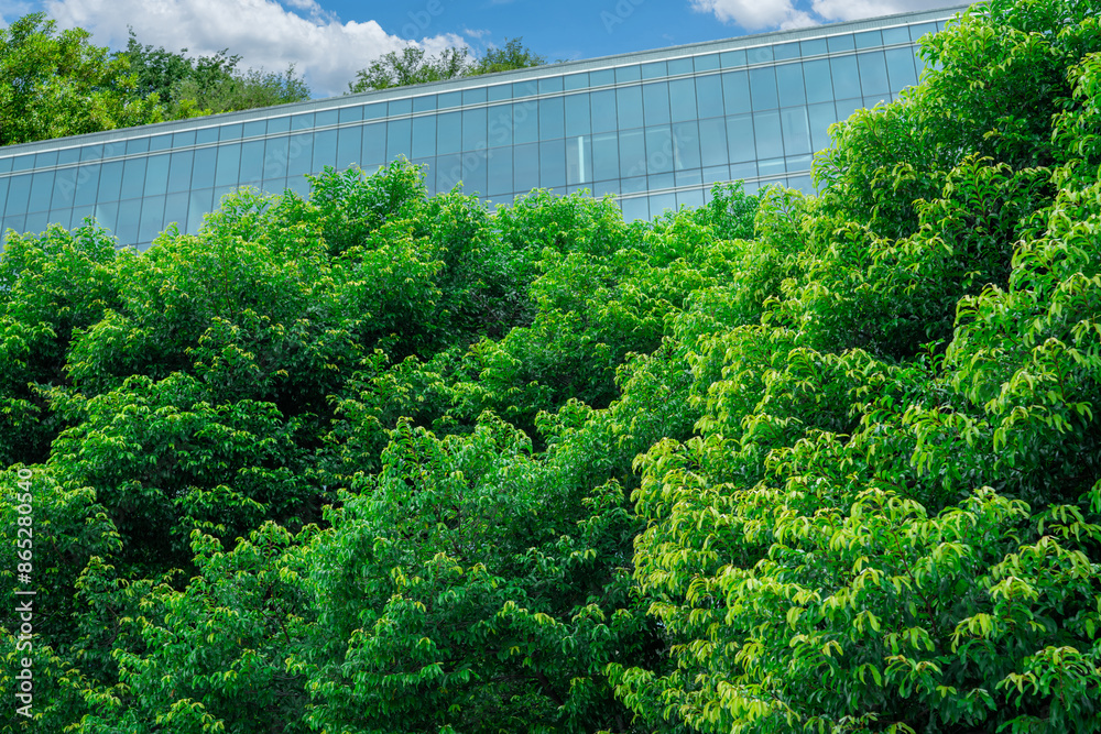 Eco-friendly building in modern city. Sustainable glass office building ...