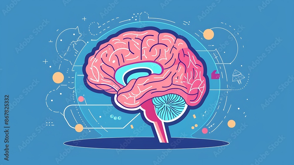 Infographic showing the anatomy of the human brain labeling the major ...