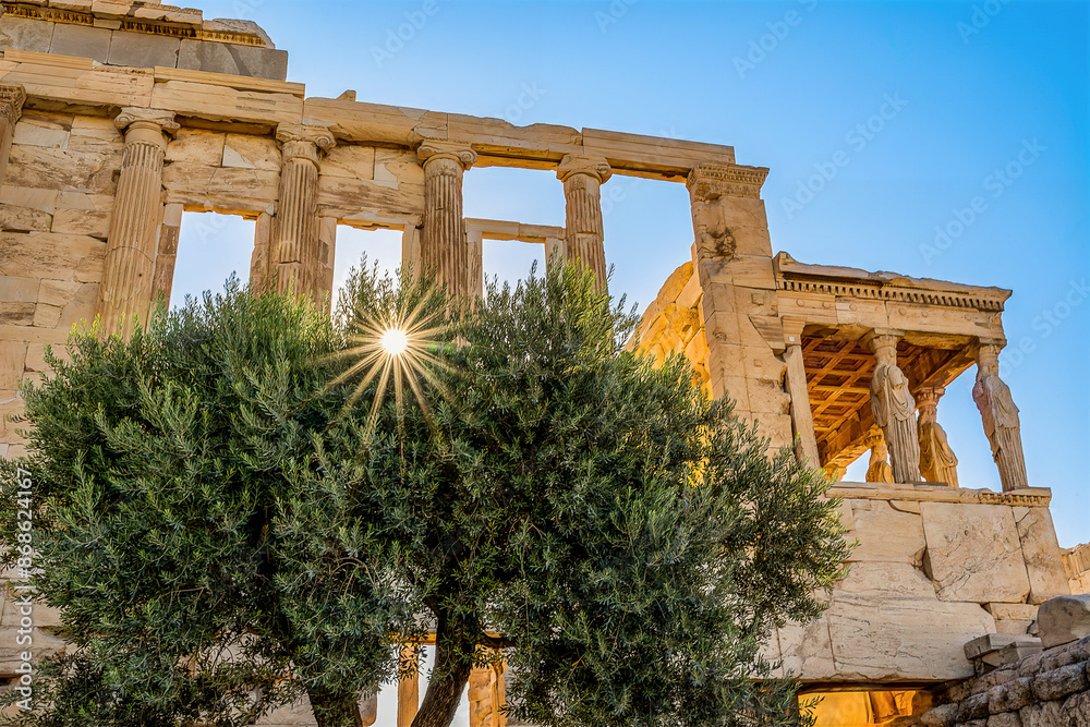 ภาพถ่าย Stock The olive tree and the Erechtheon with the portico of the ...