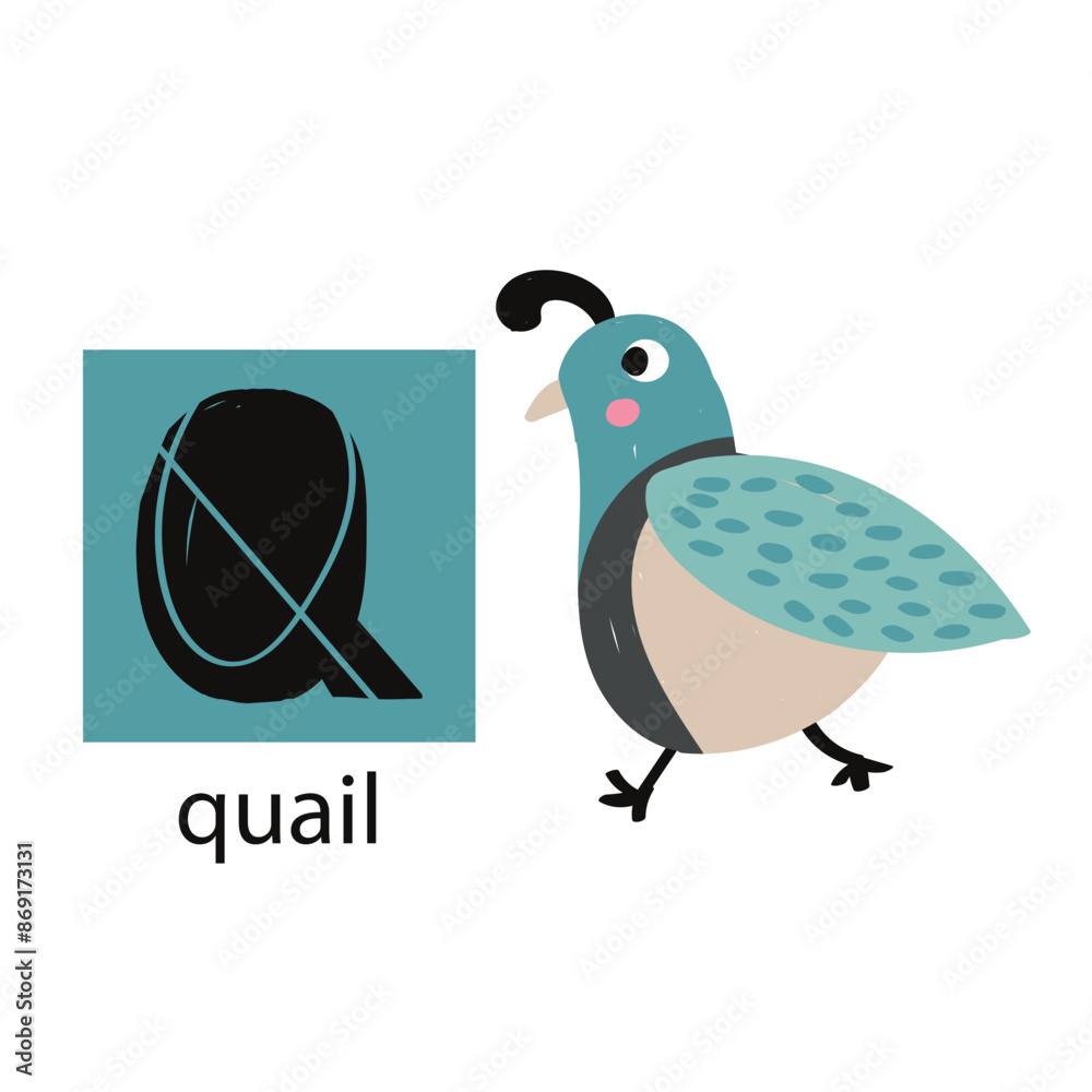 Animal alphabet letters. Cute baby animal letter Q with quail. English ...