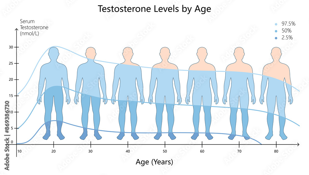 variation in serum testosterone levels across different ages ...