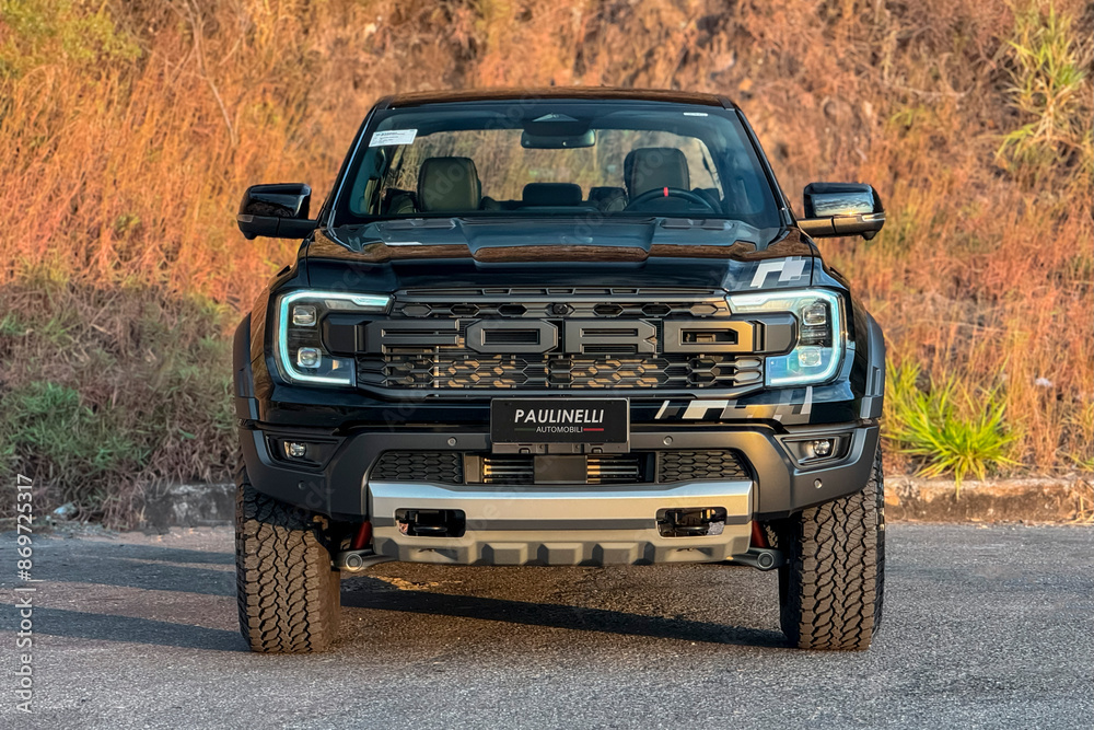 Black Ford Raptor front view, Rugged pickup truck, grass background ...