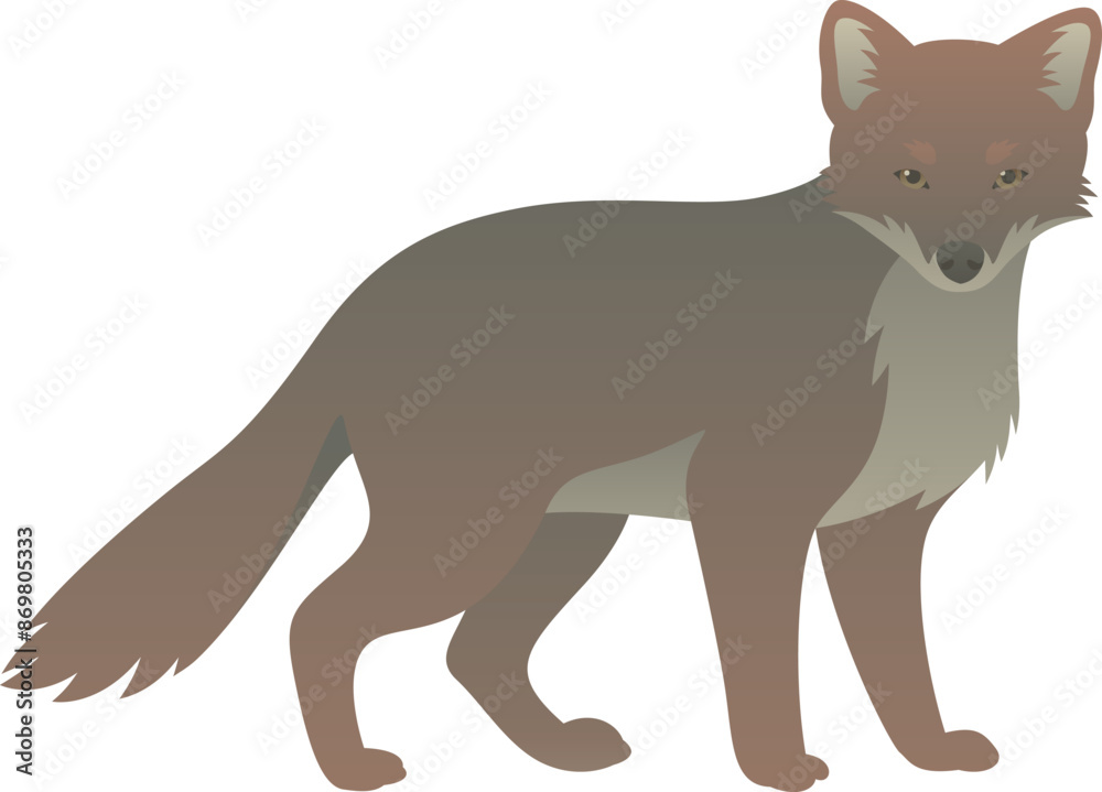 Darwins fox vector illustration. Endangered animal standing side view ...