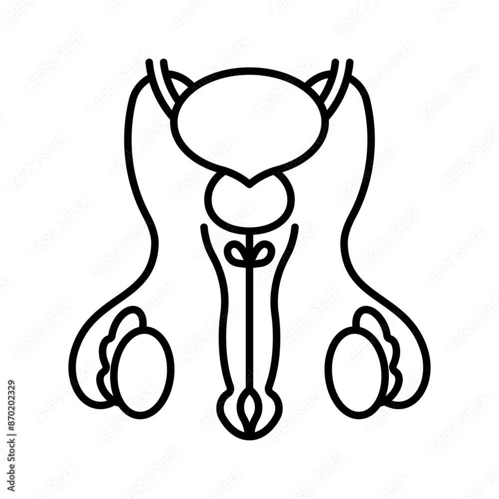 Male Reproductive System, line icon. Andrology, urology, endocrinology ...