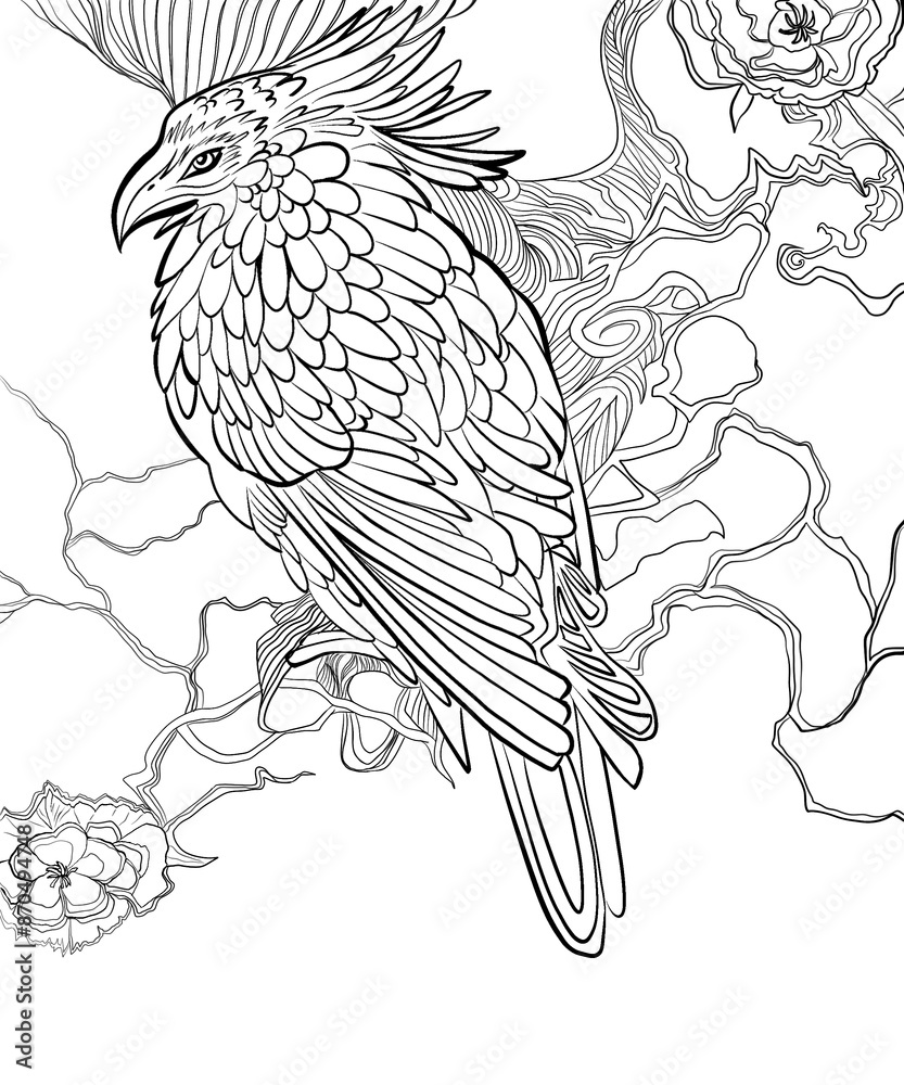 Line drawing of bird outline for coloring book clip art for design ...