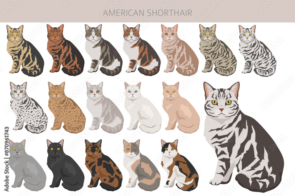 American Shorthair cat clipart. All coat colors set. All cat breeds ...